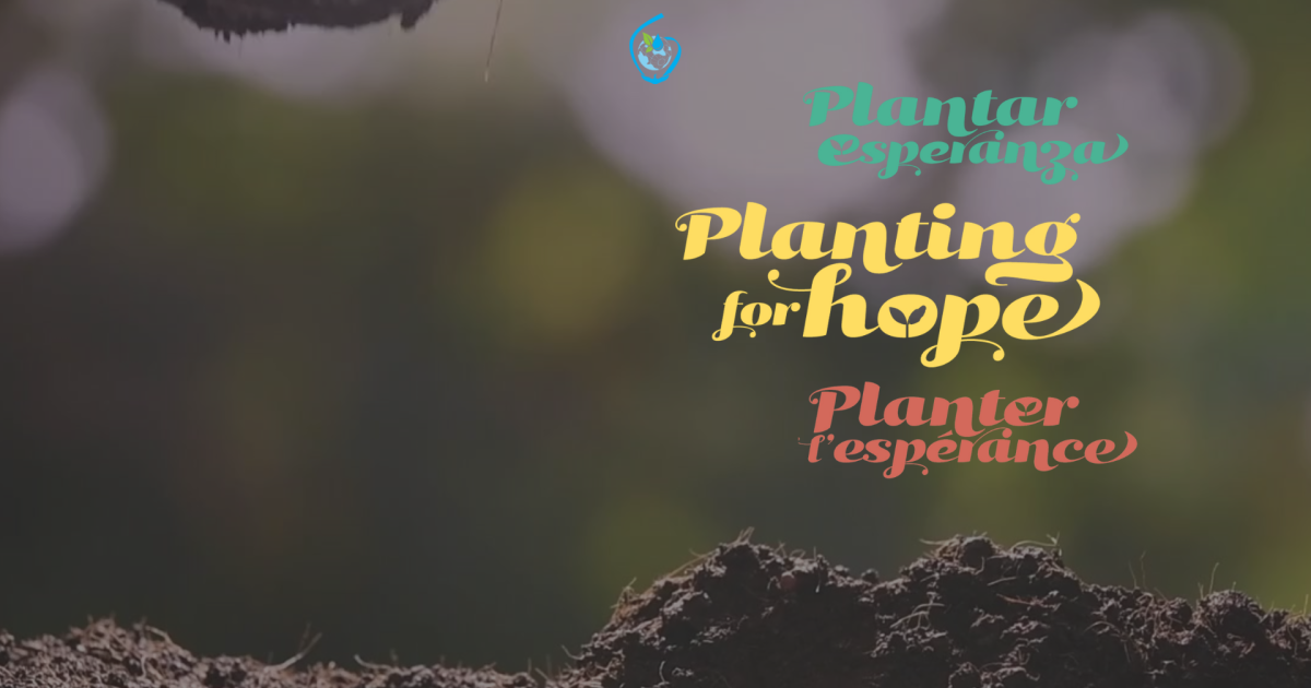 Planting for Hope - First Plantations | JPIC Learning Hub